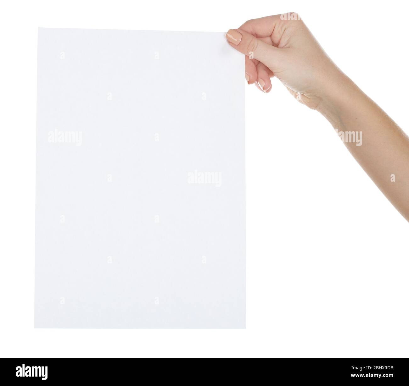Hand holding blank card isolated on white Stock Photo - Alamy
