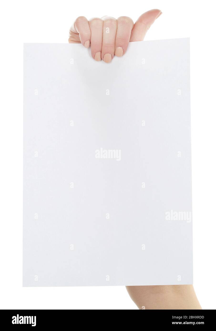 Hand holding blank card isolated on white Stock Photo - Alamy