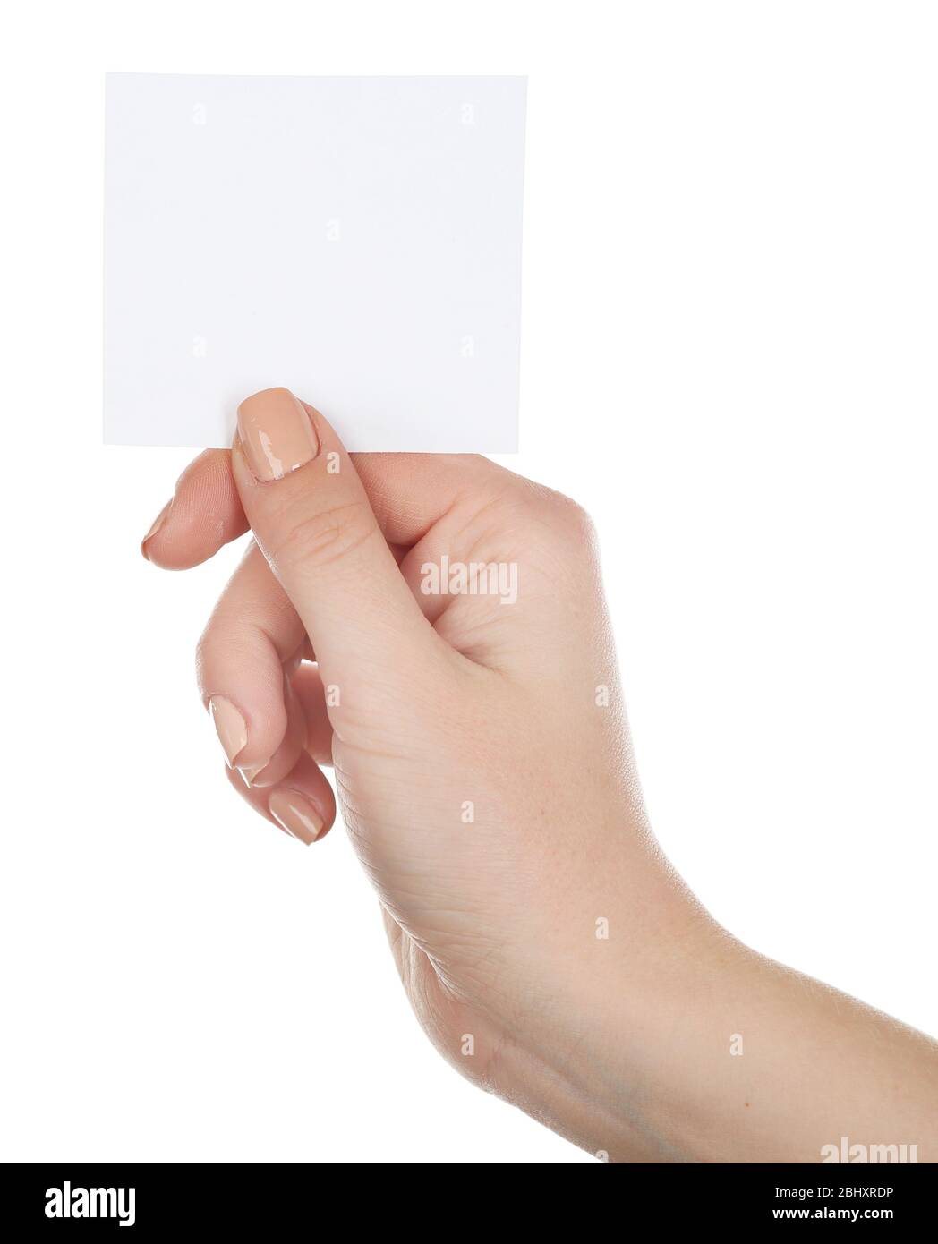 Hand holding blank card isolated on white Stock Photo - Alamy