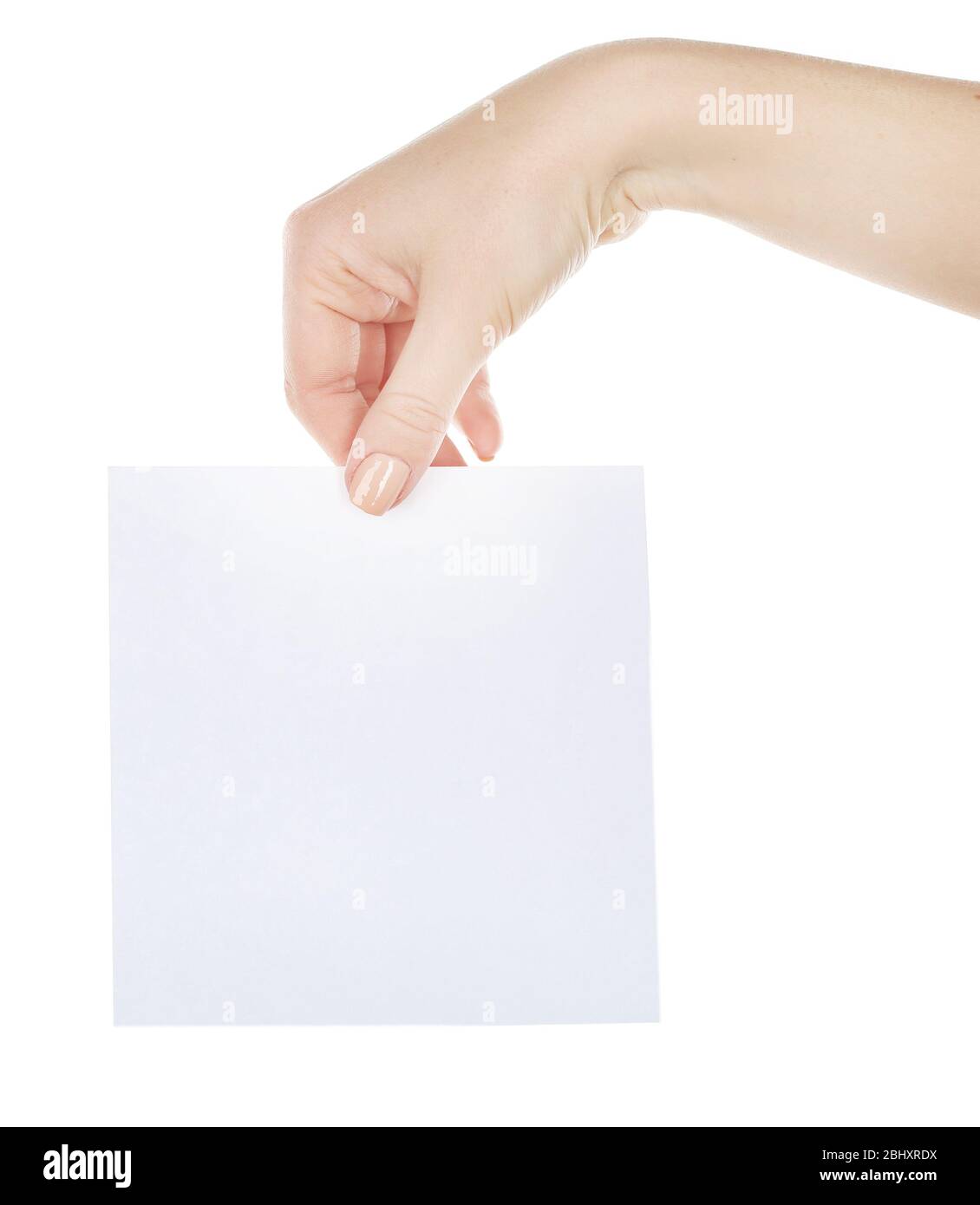 Hand holding blank card isolated on white Stock Photo - Alamy