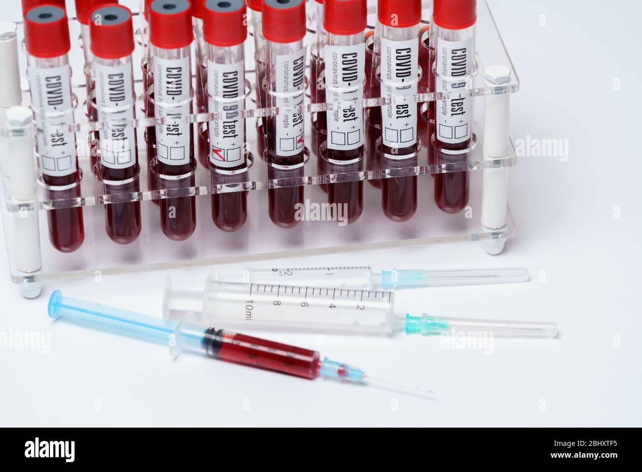 Rack of Tubes of blood sample for testing biological material Stock ...