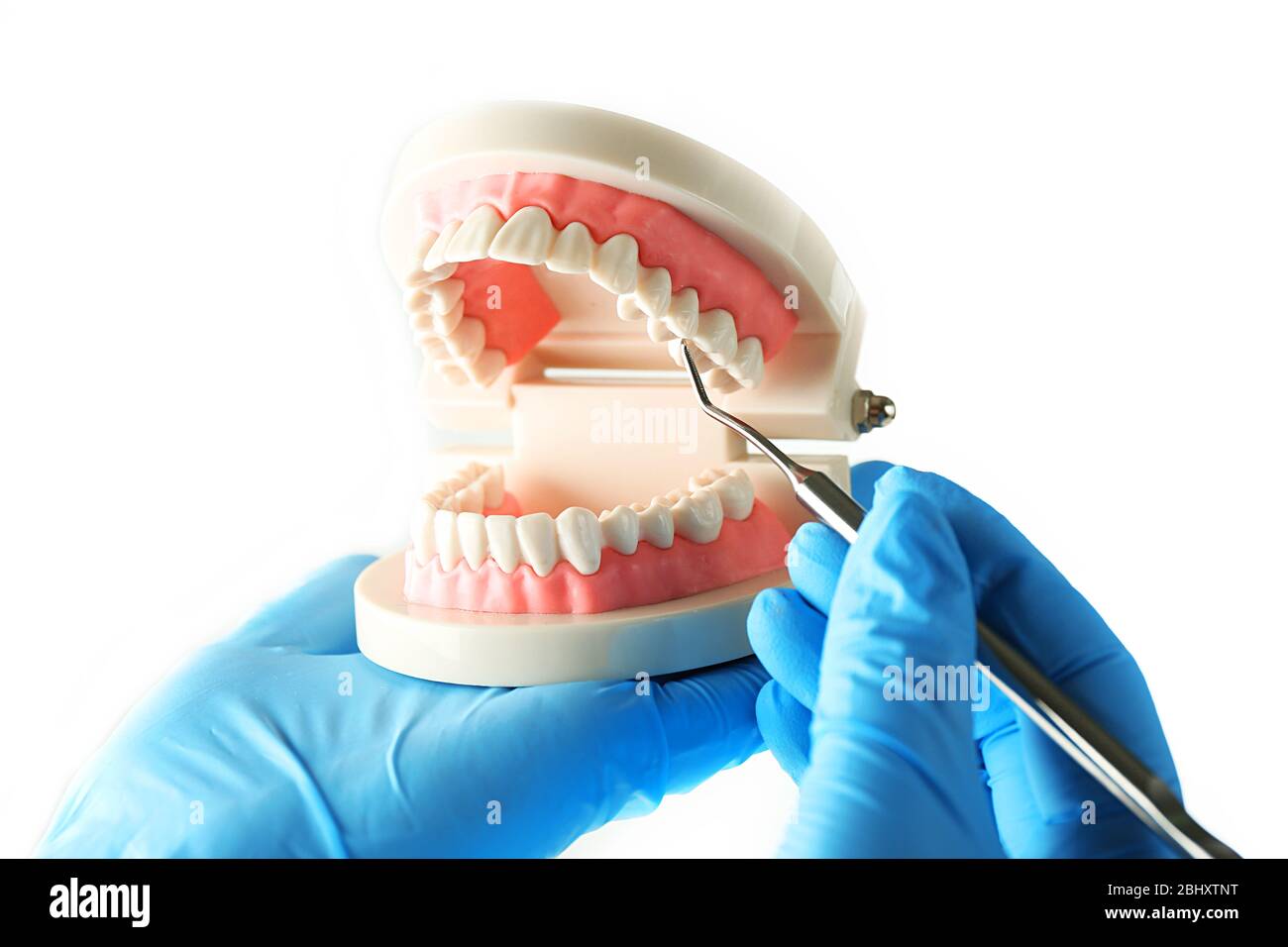 Doctor dentist woman in Cut Out Stock Images & Pictures - Alamy