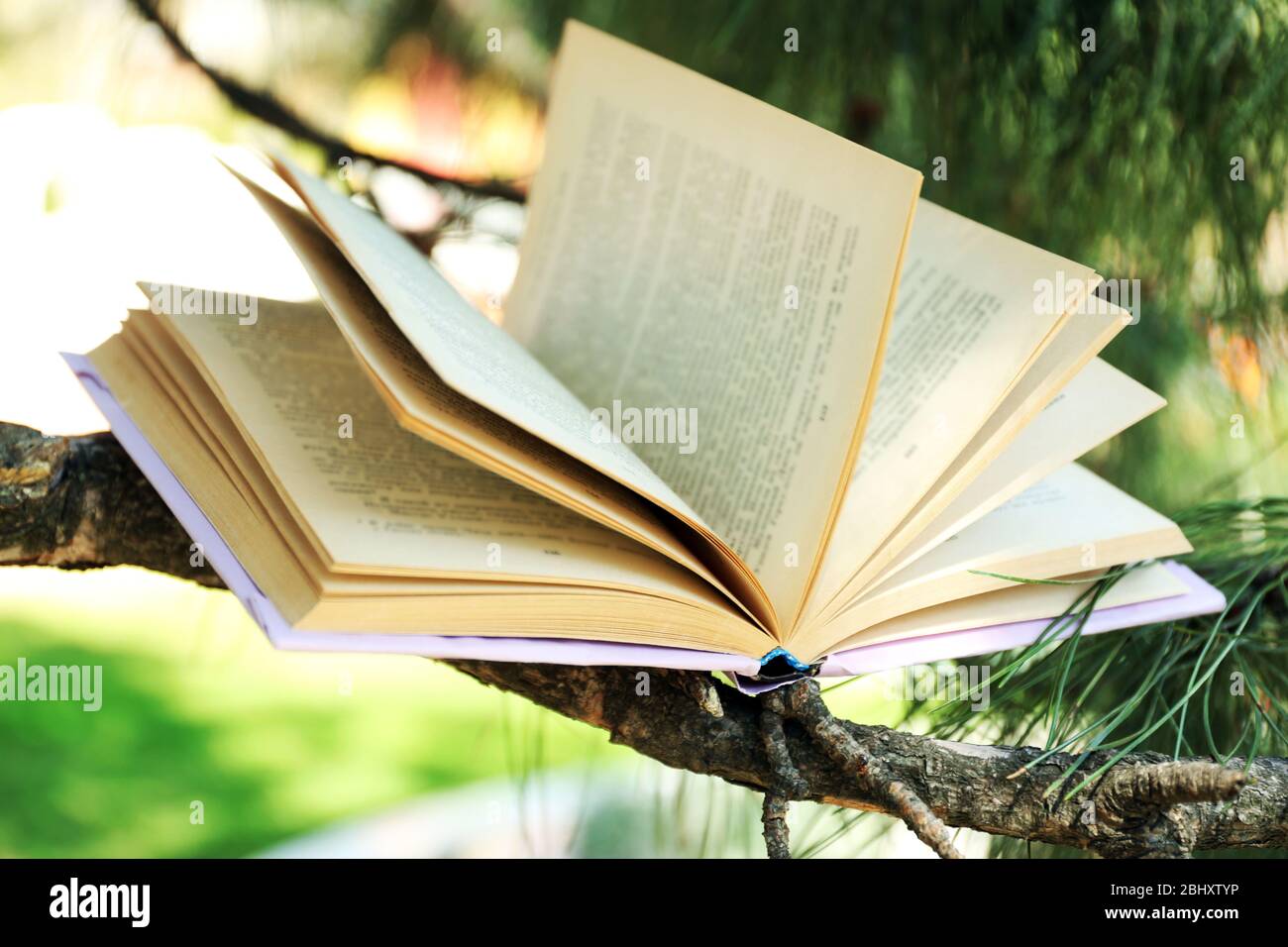 Book on tree branch, close-up Stock Photo - Alamy