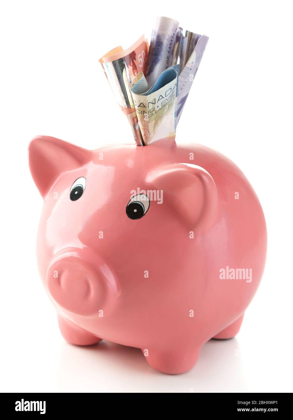 Piggy bank with Canadian dollars, isolated on white Stock Photo - Alamy