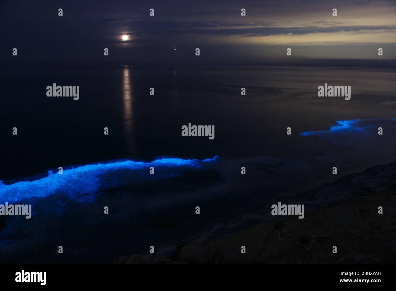 Bioluminescence hi-res stock photography and images - Alamy