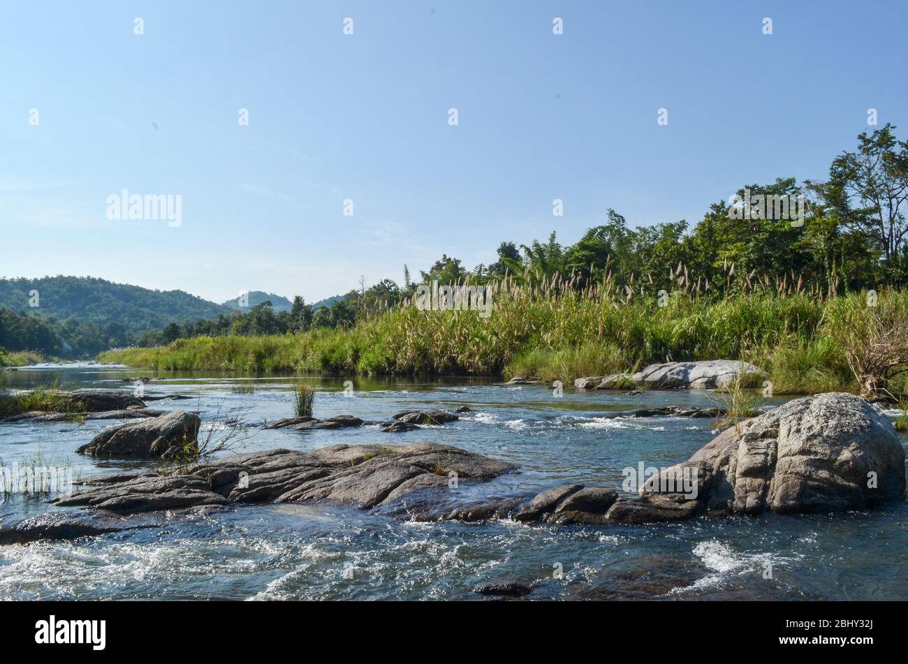 perfect forest is mae wong nationpark , is have tree , animal , stream ...