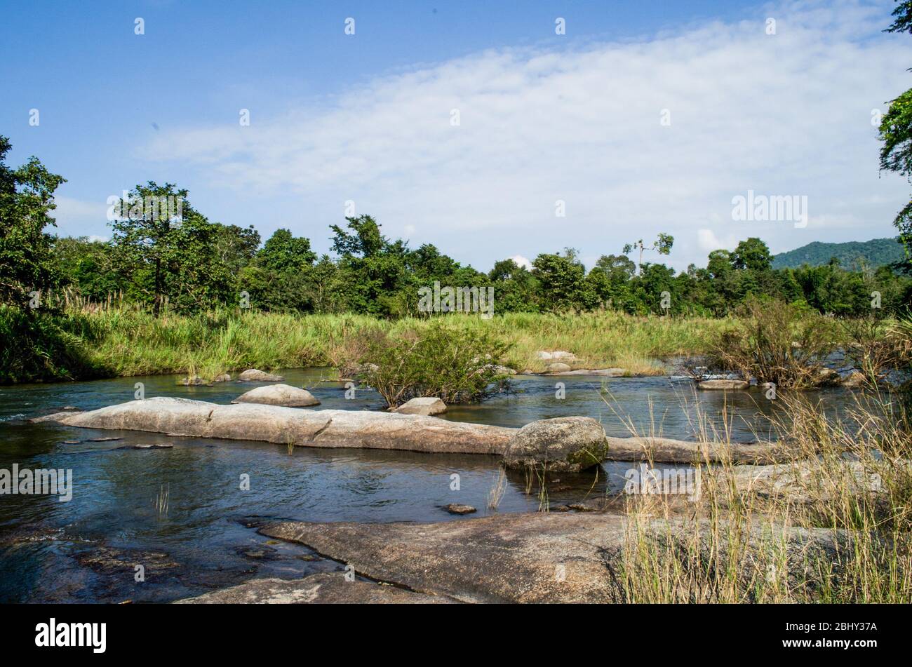 perfect forest is mae wong nationpark , is have tree , animal , stream ...