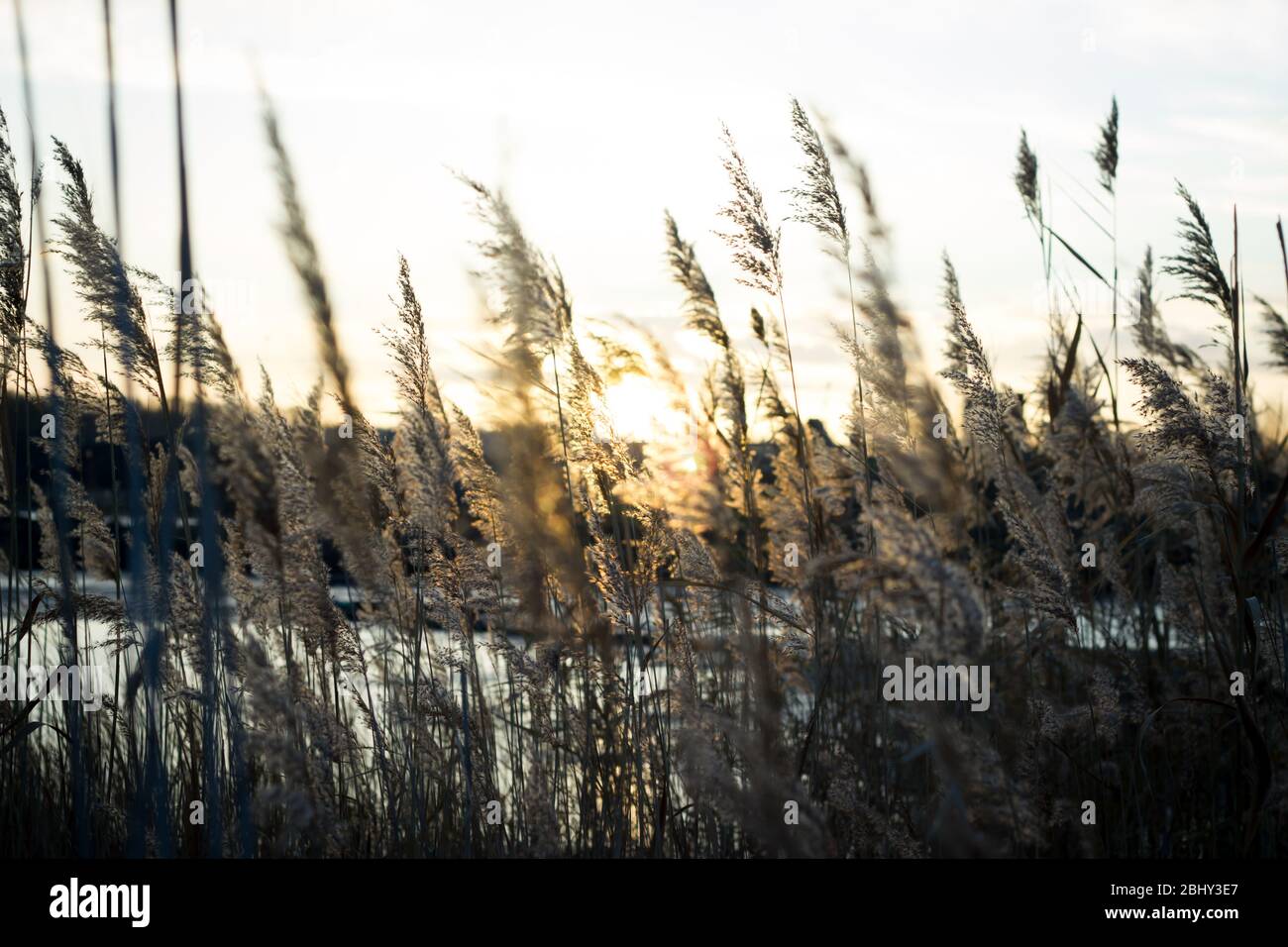 Beauty summer sunset, landscape scenery, cloudy and windy weather Stock ...