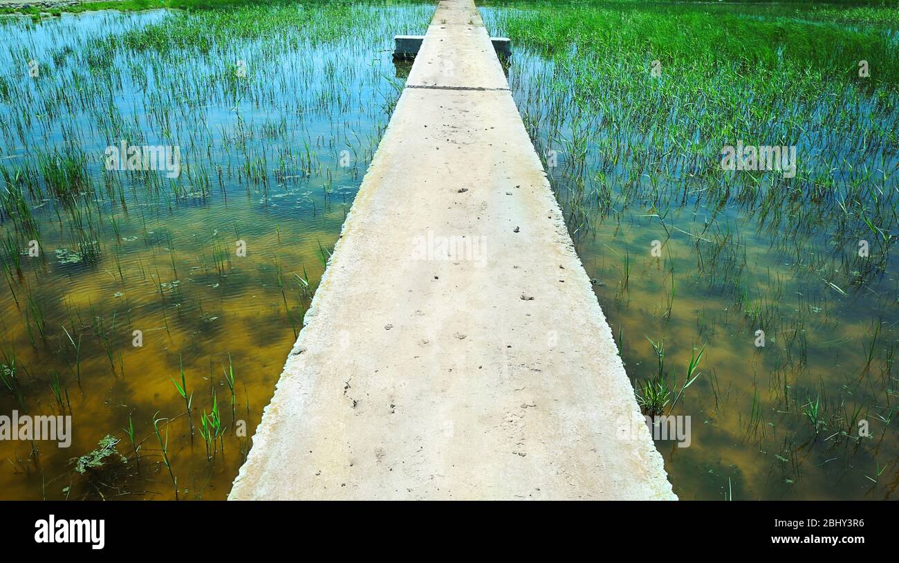 Concrete bridge across river in country Stock Photo - Alamy