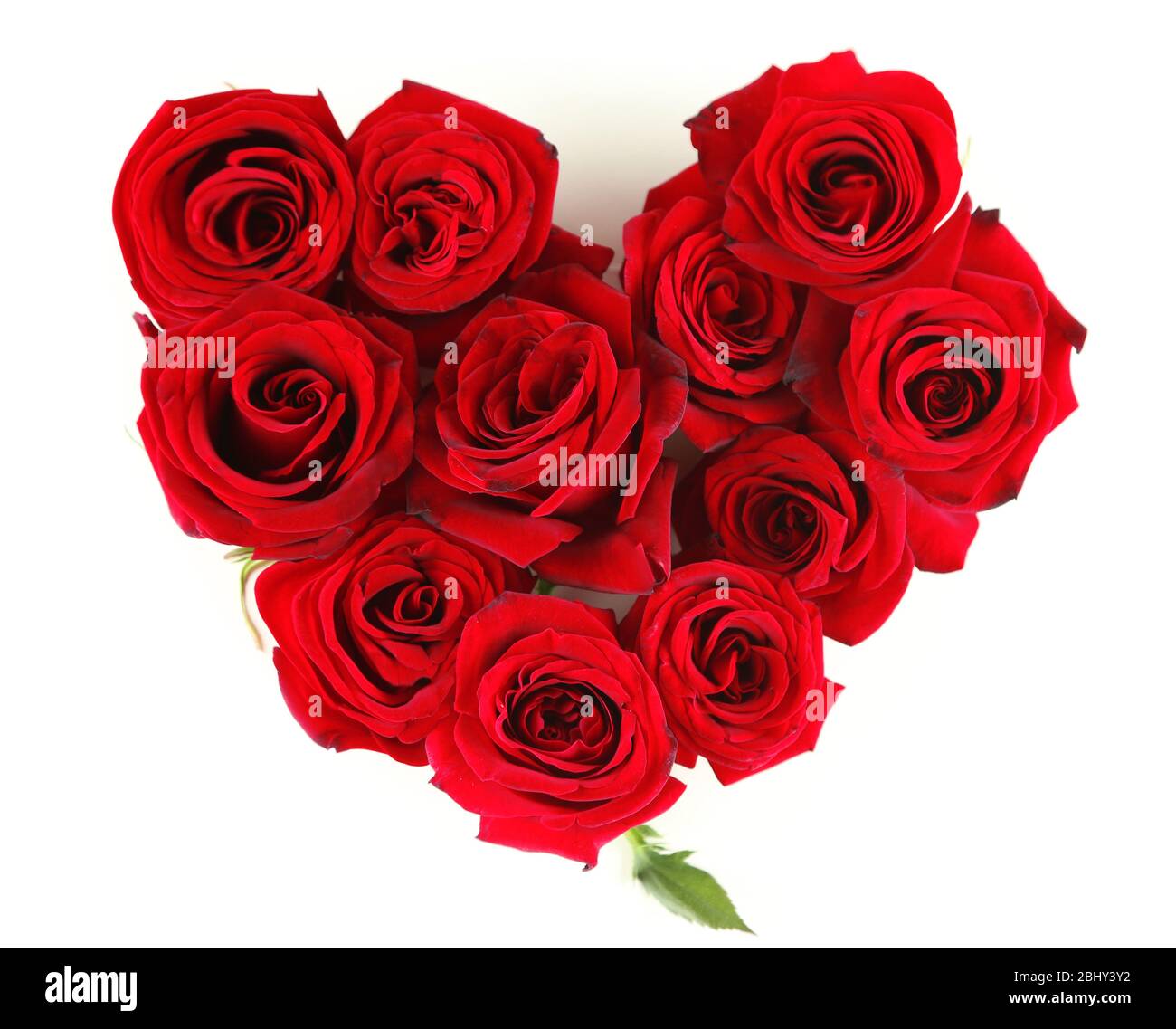 Beautiful red roses, isolated on white Stock Photo - Alamy