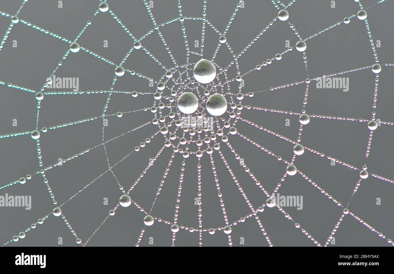 Symmetrical patterns hi-res stock photography and images - Alamy