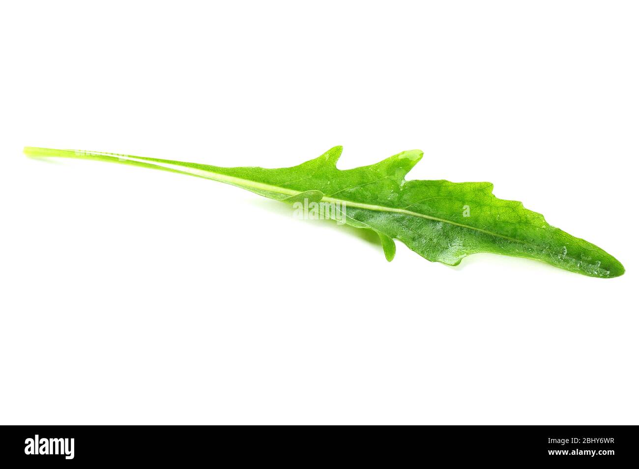 Green arugula leaf isolated on white Stock Photo - Alamy