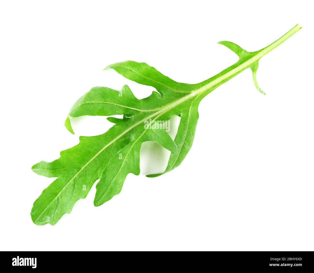 Green arugula leaf isolated on white Stock Photo - Alamy
