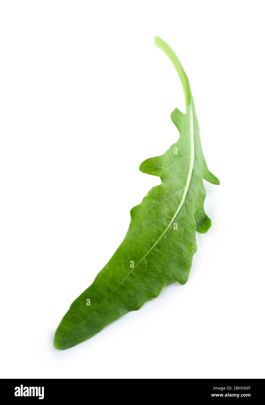Green arugula leaf isolated on white Stock Photo - Alamy