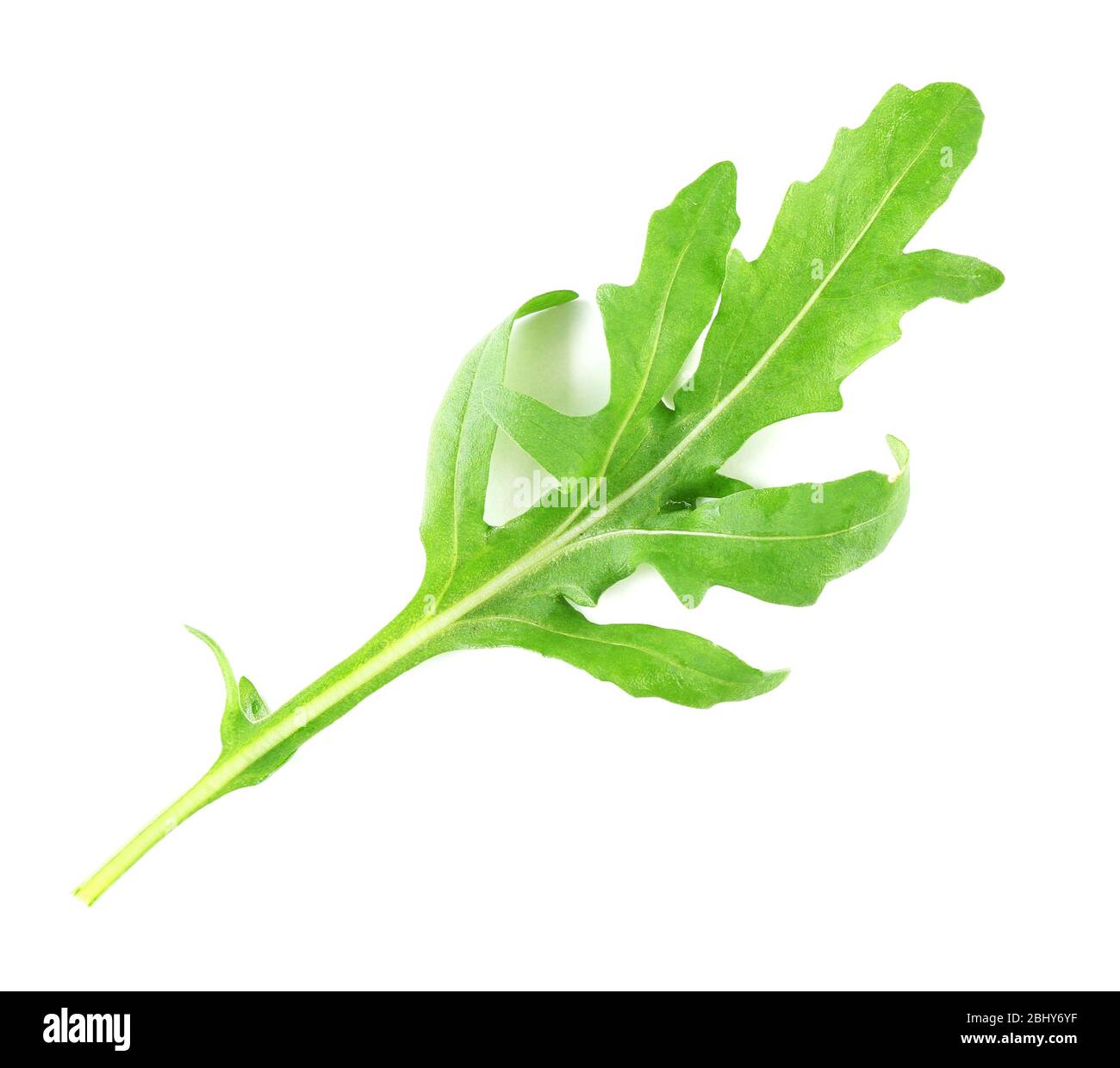 Green arugula leaf isolated on white Stock Photo - Alamy