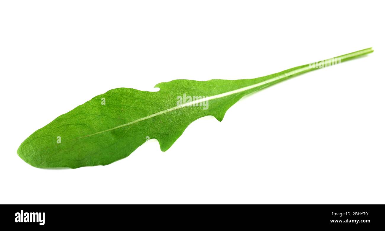 Green arugula leaf isolated on white Stock Photo - Alamy