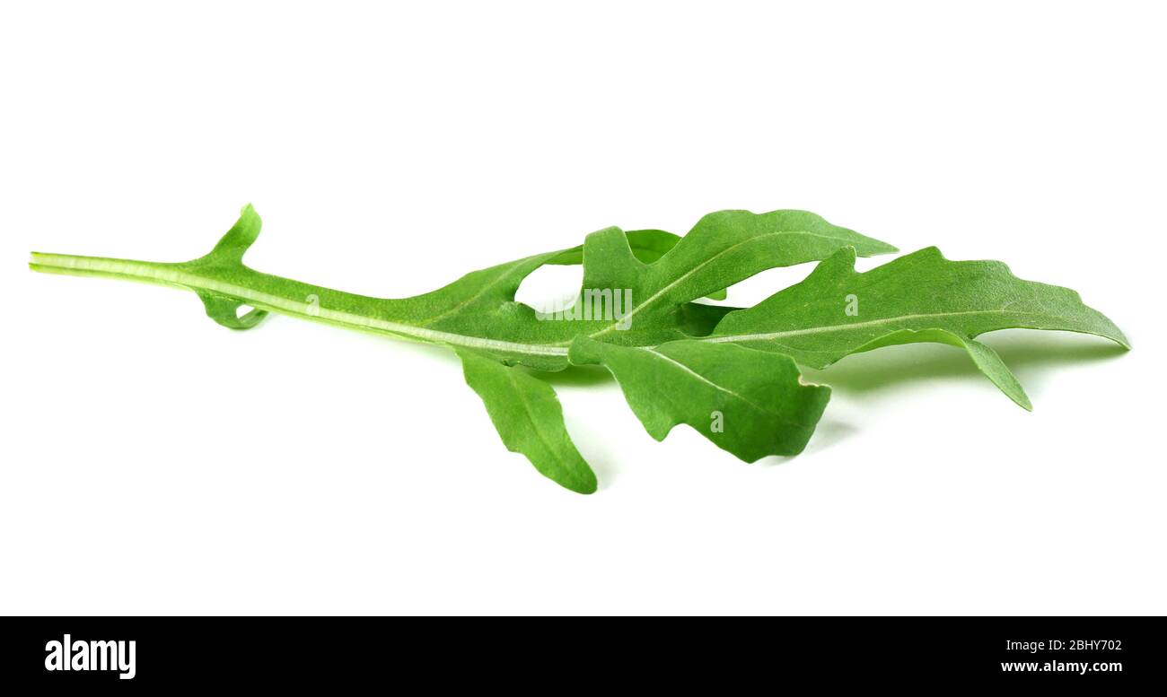 Green arugula leaf isolated on white Stock Photo - Alamy