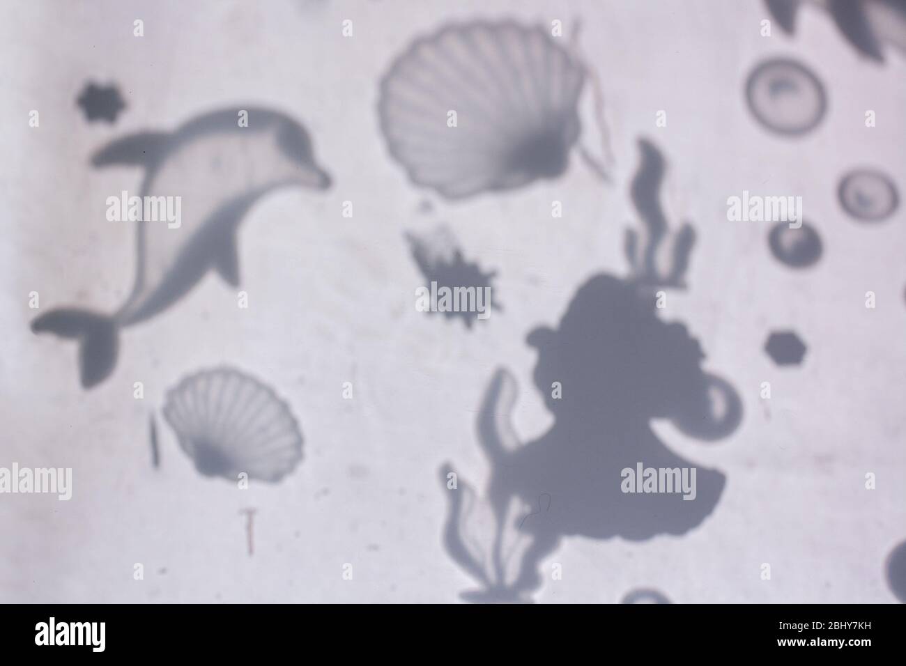 Shadows of a dolphin and shells on a white background from stickers on ...