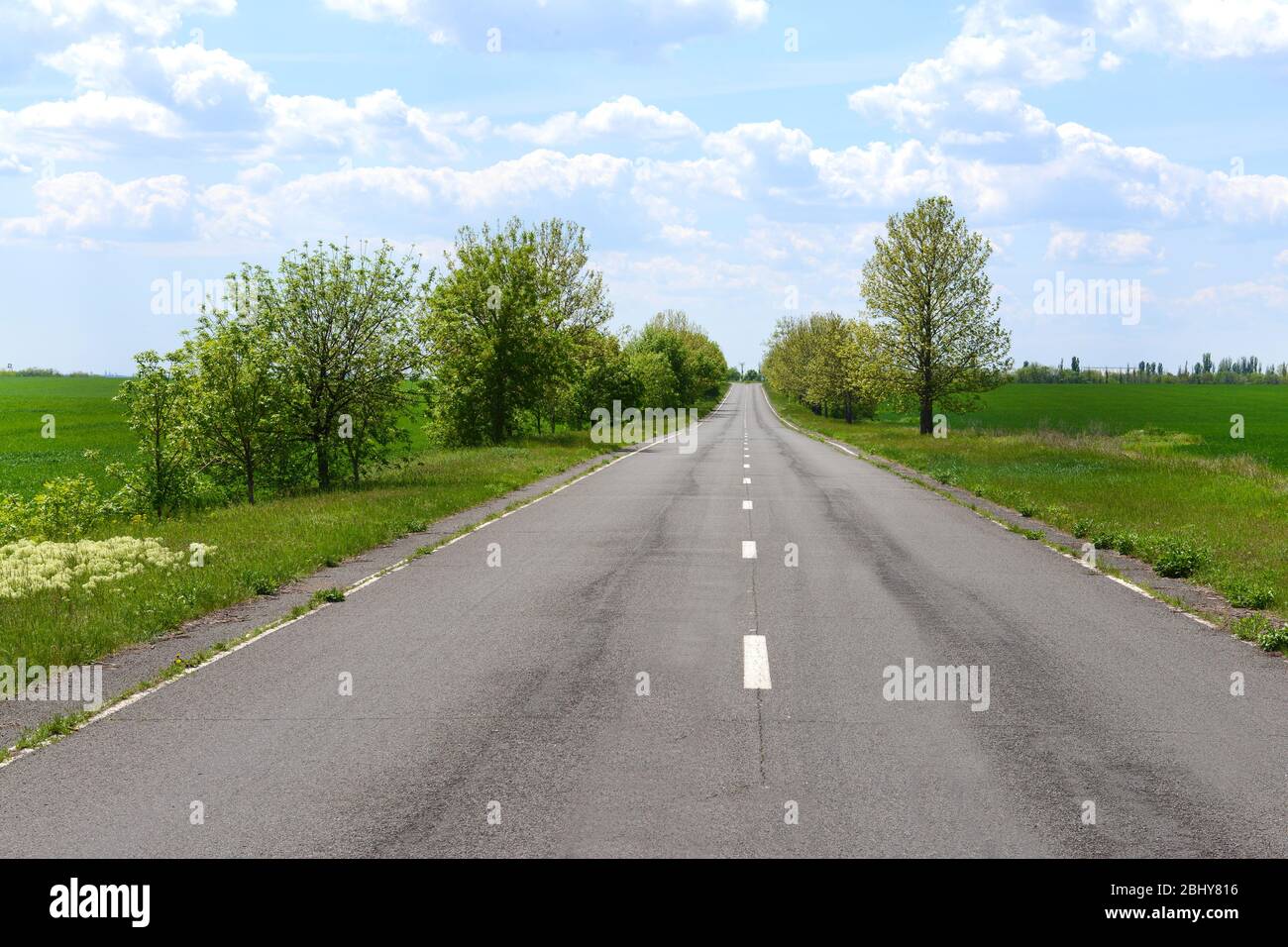 Asphalt road through the green field in spring day Stock Photo - Alamy
