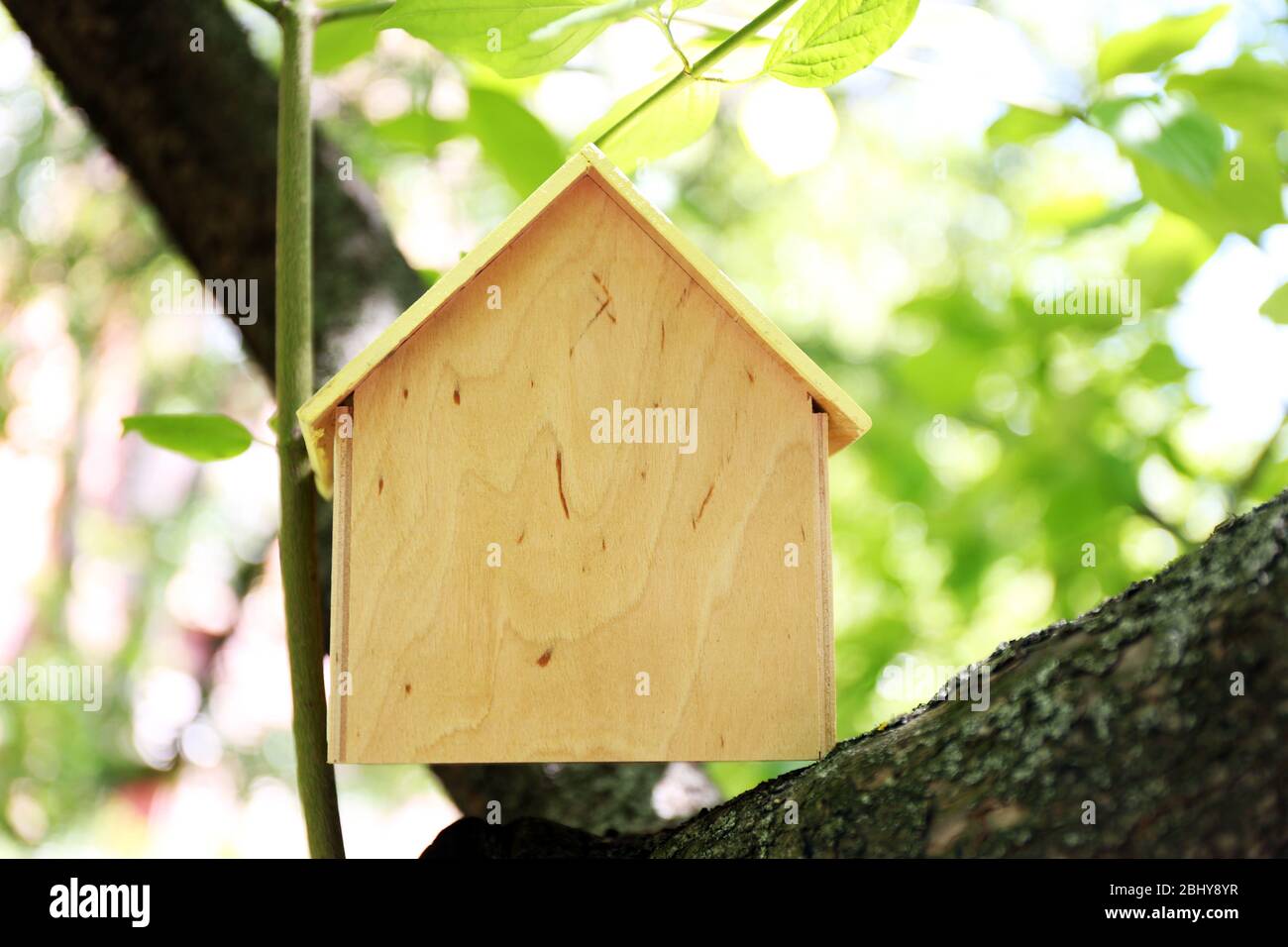 House on tree, close up Stock Photo - Alamy