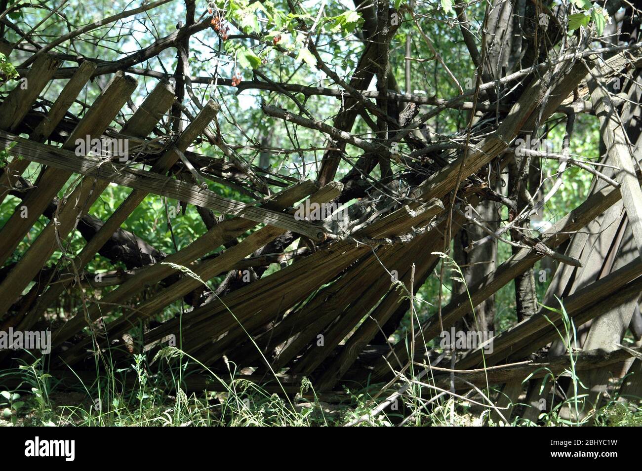 Lop sided hi-res stock photography and images - Alamy