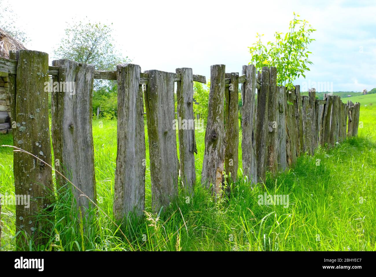 Wooden fence on nice green meadow Stock Photo - Alamy