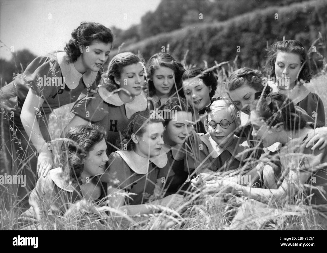 Mioche hi-res stock photography and images - Alamy