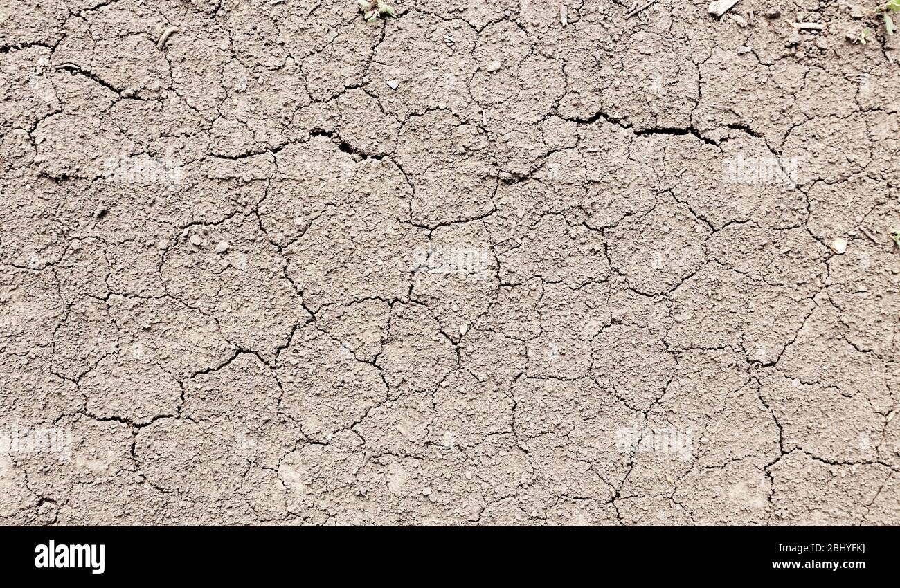 Cracked ground background Stock Photo - Alamy