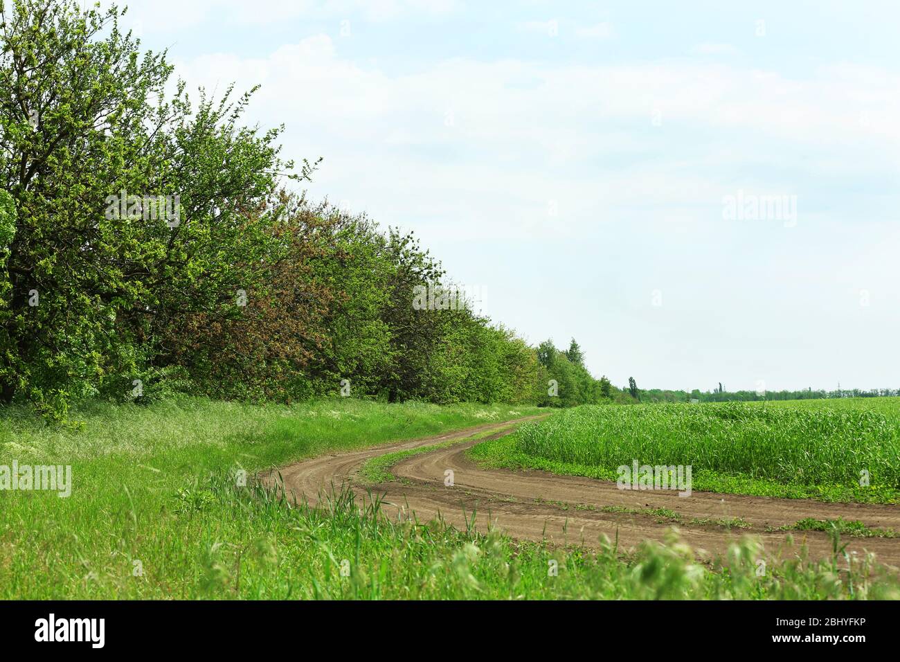 Country road over blue sky background Stock Photo - Alamy