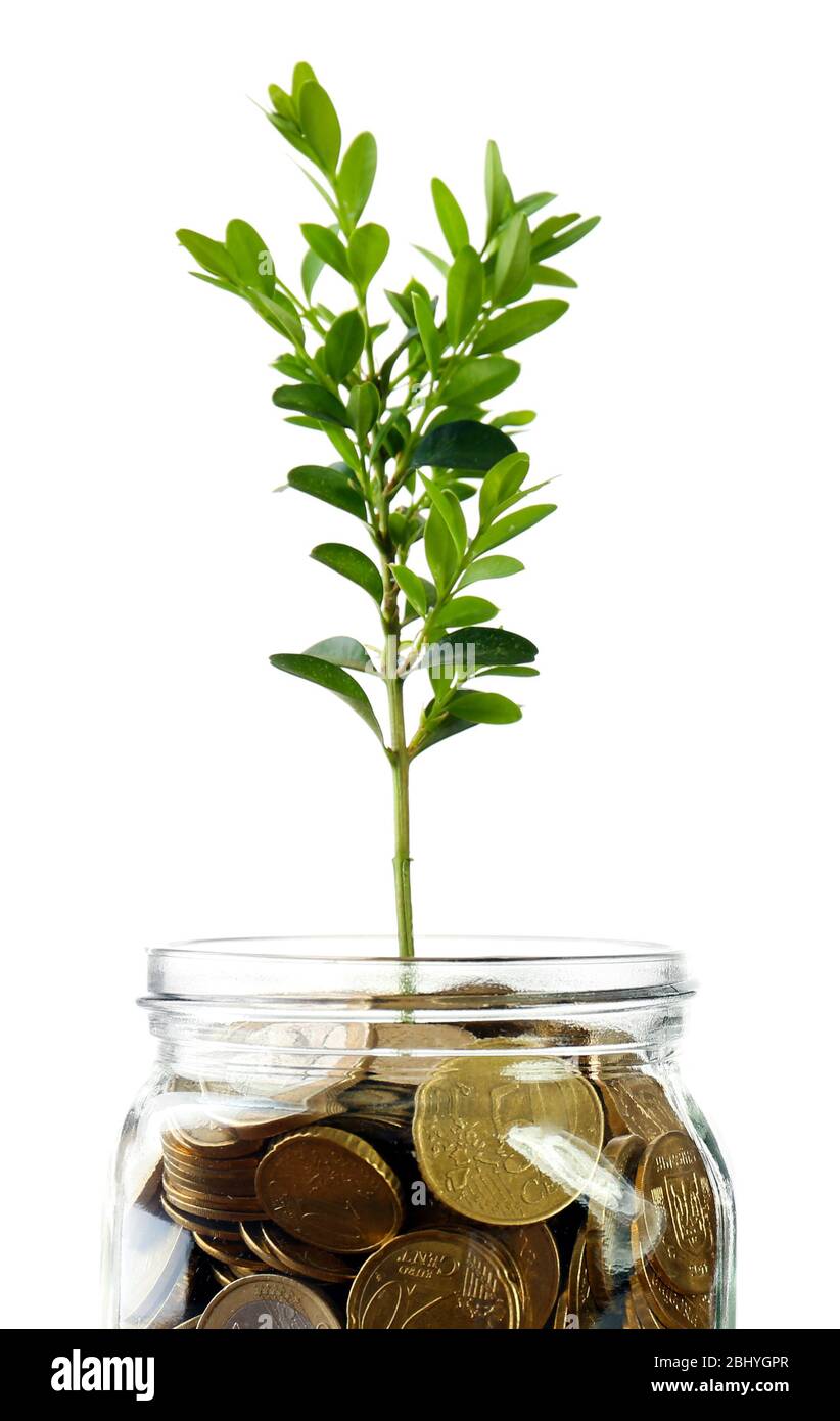 Money with growing sprout in glass jar isolated on white Stock Photo ...