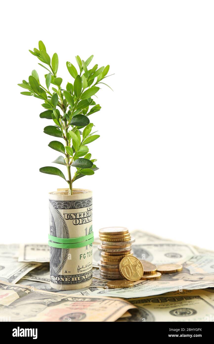 Money with growing sprout isolated on white Stock Photo - Alamy