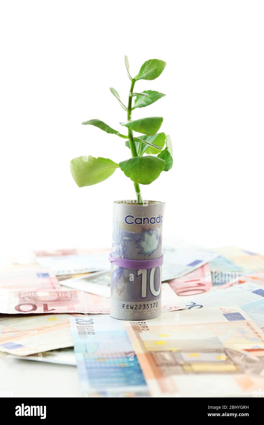 Money with growing sprout isolated on white Stock Photo - Alamy