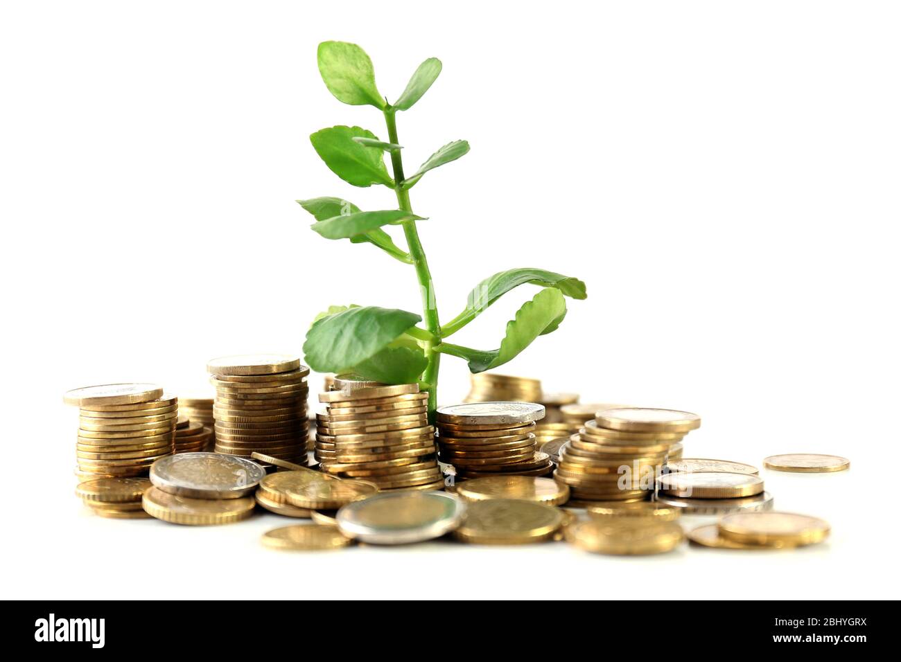 Money with growing sprout isolated on white Stock Photo - Alamy