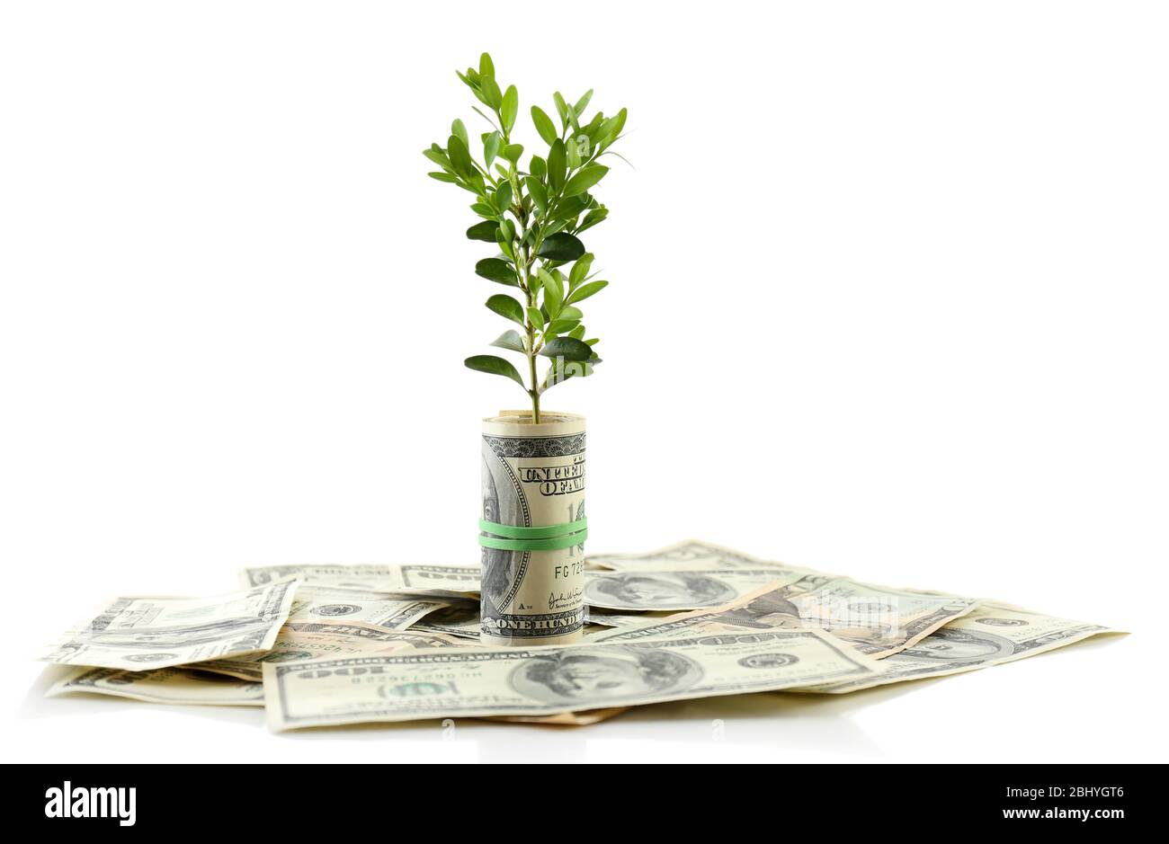 Money with growing sprout isolated on white Stock Photo - Alamy