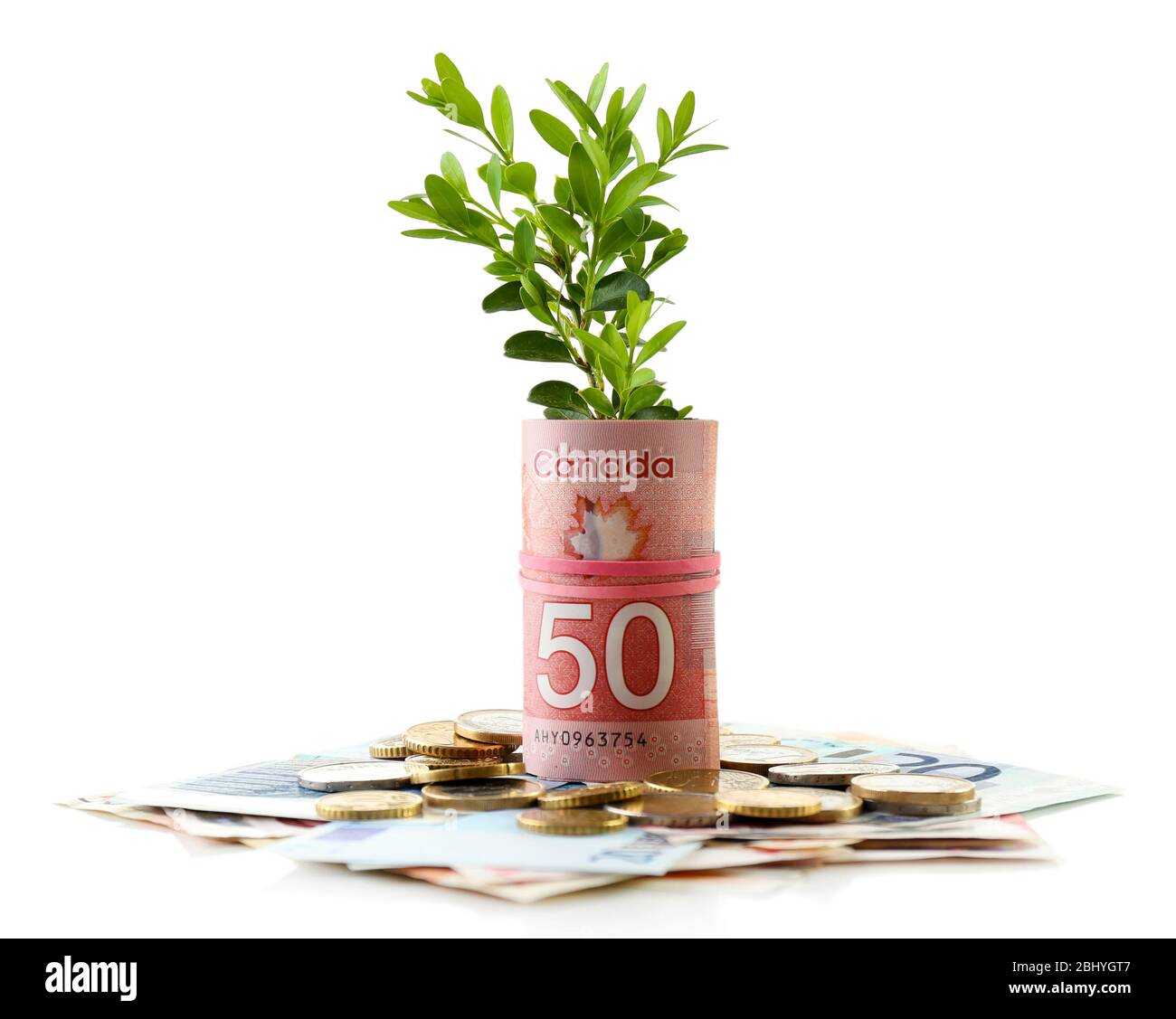 Money with growing sprout isolated on white Stock Photo - Alamy