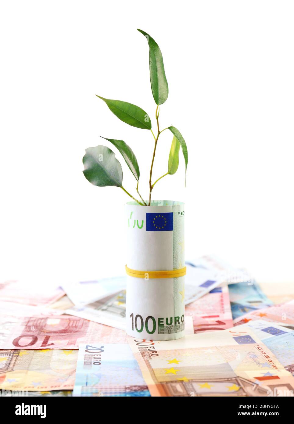 Money with growing sprout isolated on white Stock Photo - Alamy