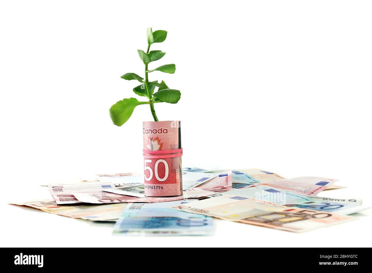 Money with growing sprout hi-res stock photography and images - Alamy