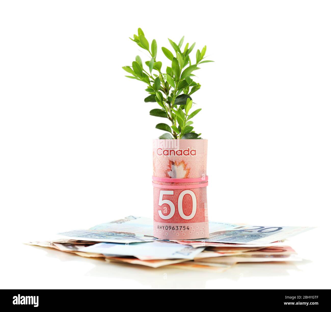 Money with growing sprout isolated on white Stock Photo - Alamy