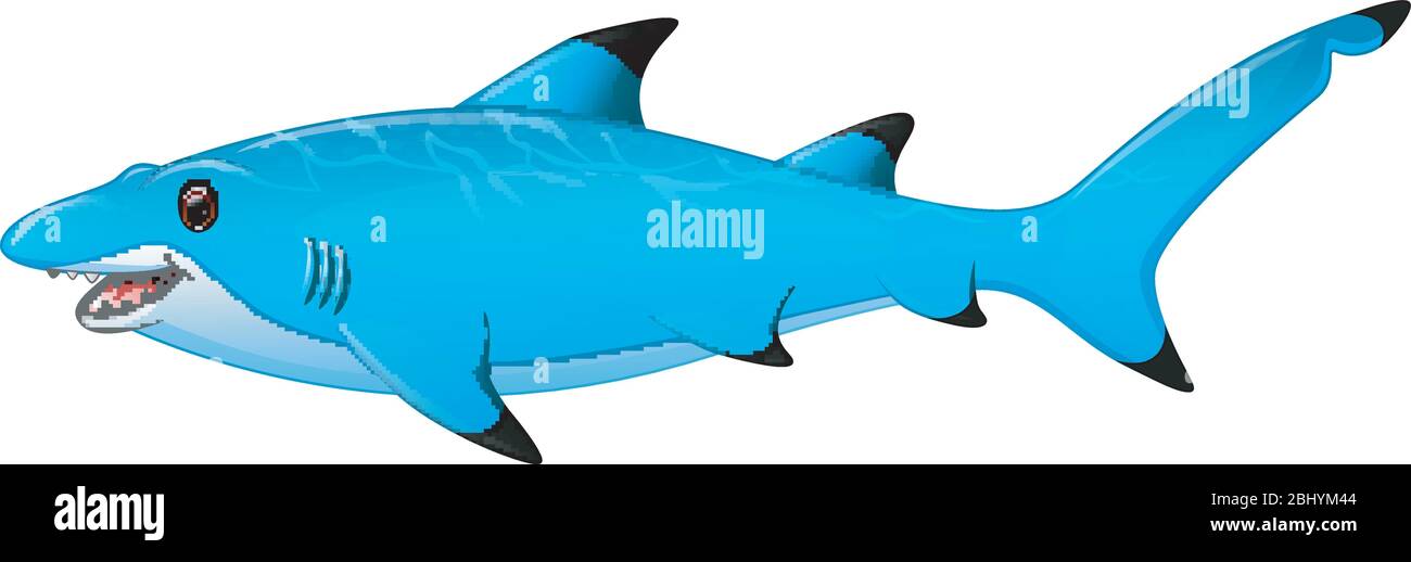 cartoon shark illustration Stock Vector Image & Art - Alamy