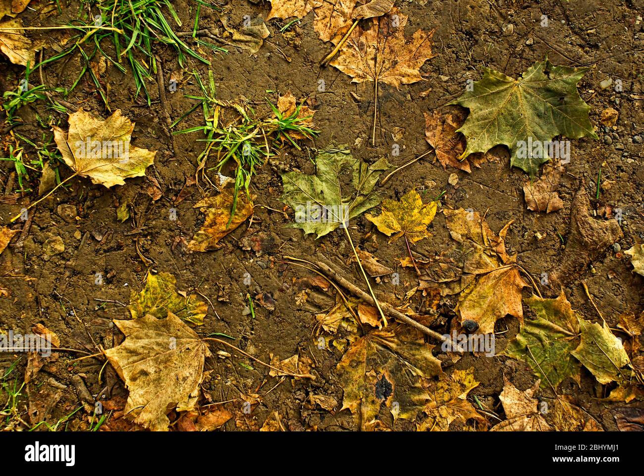 Tramped High Resolution Stock Photography and Images - Alamy
