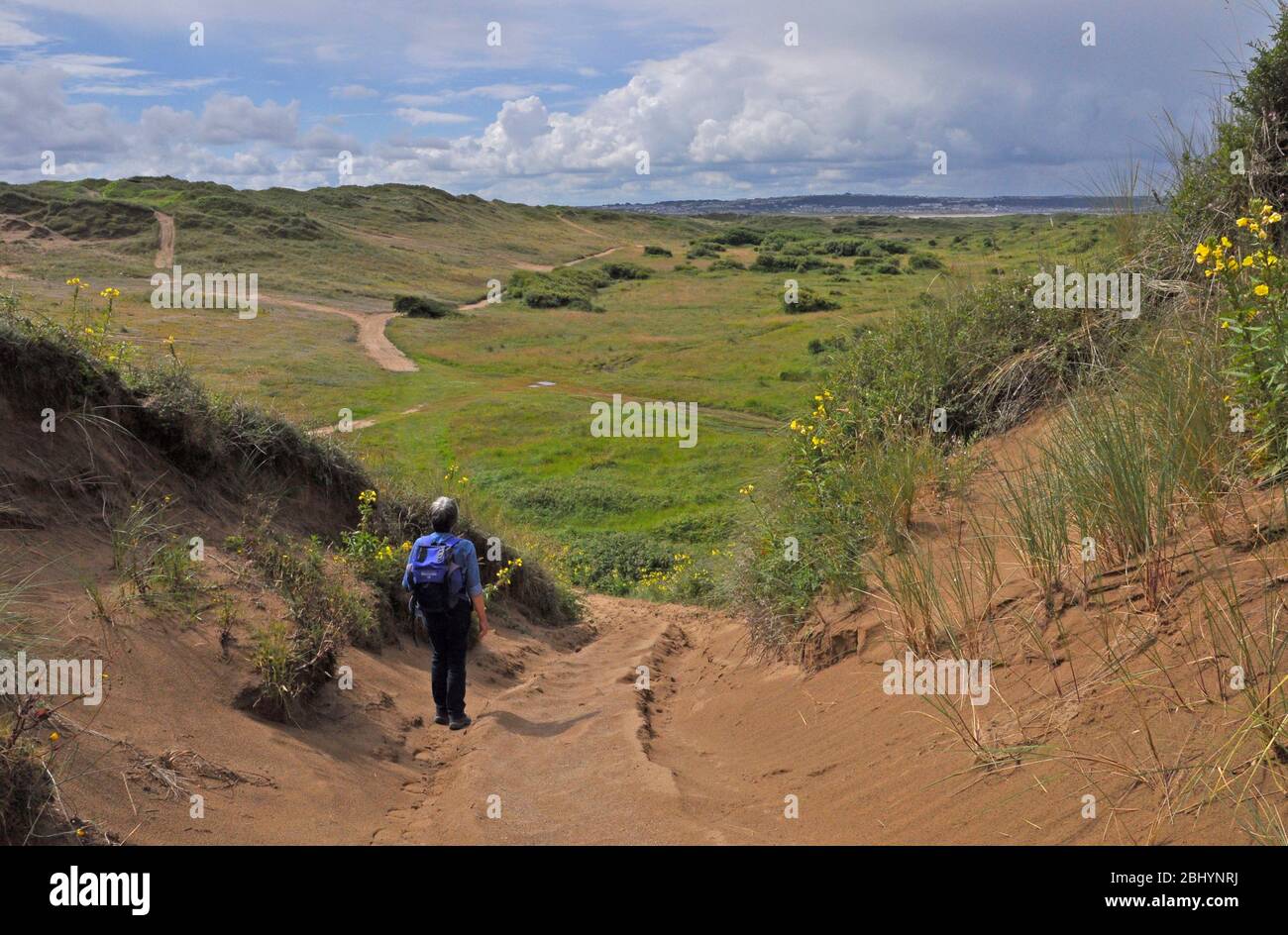 Walker descending down a steep sand dune into bomber slack in the ...