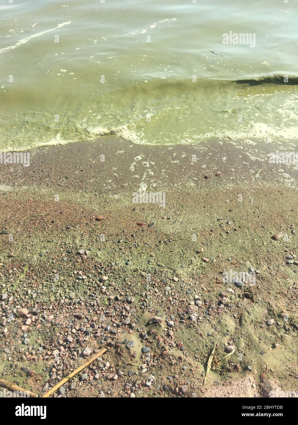 Harmful algal blooms hi-res stock photography and images - Alamy