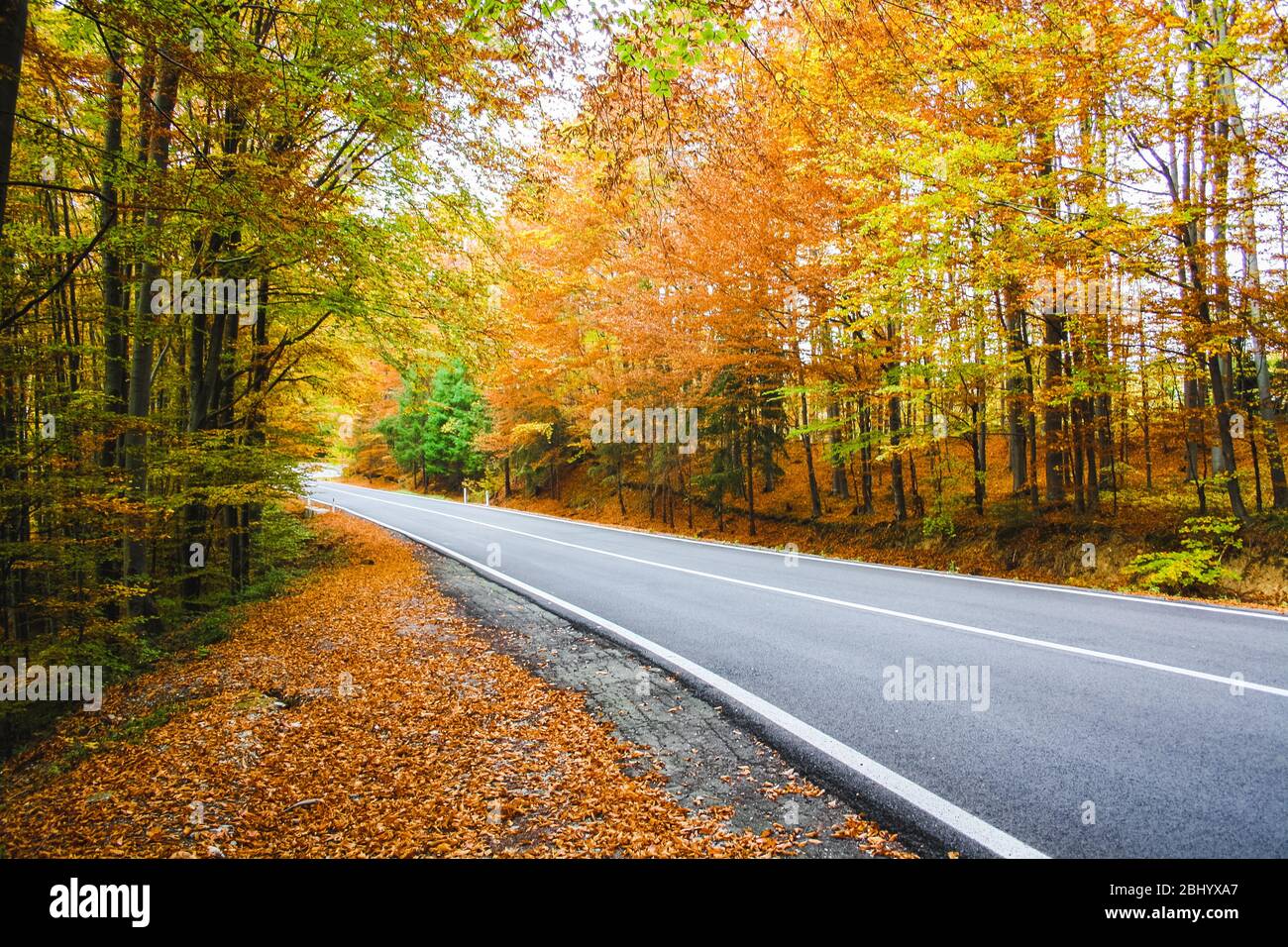 Carpathia High Resolution Stock Photography and Images - Alamy