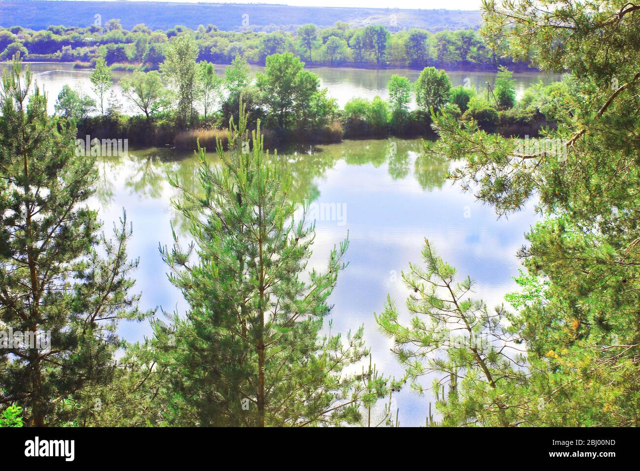 Forest lake landscape Stock Photo - Alamy