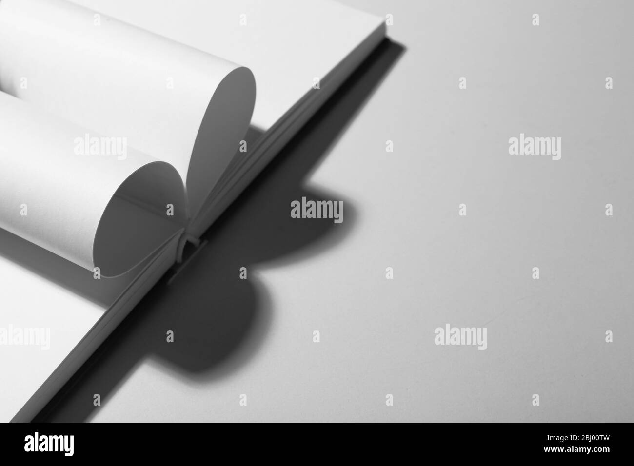 Blank book on white background Stock Photo - Alamy