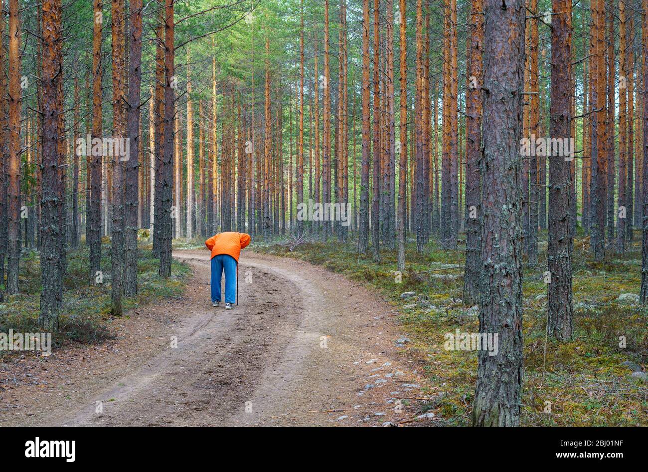 Exhausted elderly senior woman Nordic walking alone and resting at ...