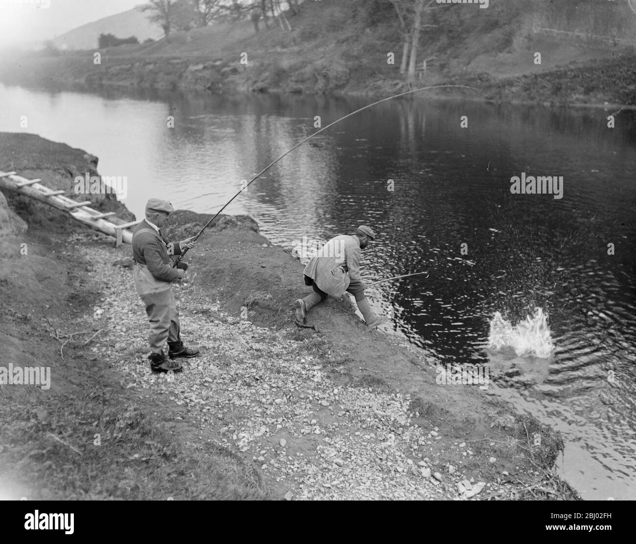 Fish fly food Black and White Stock Photos & Images - Alamy