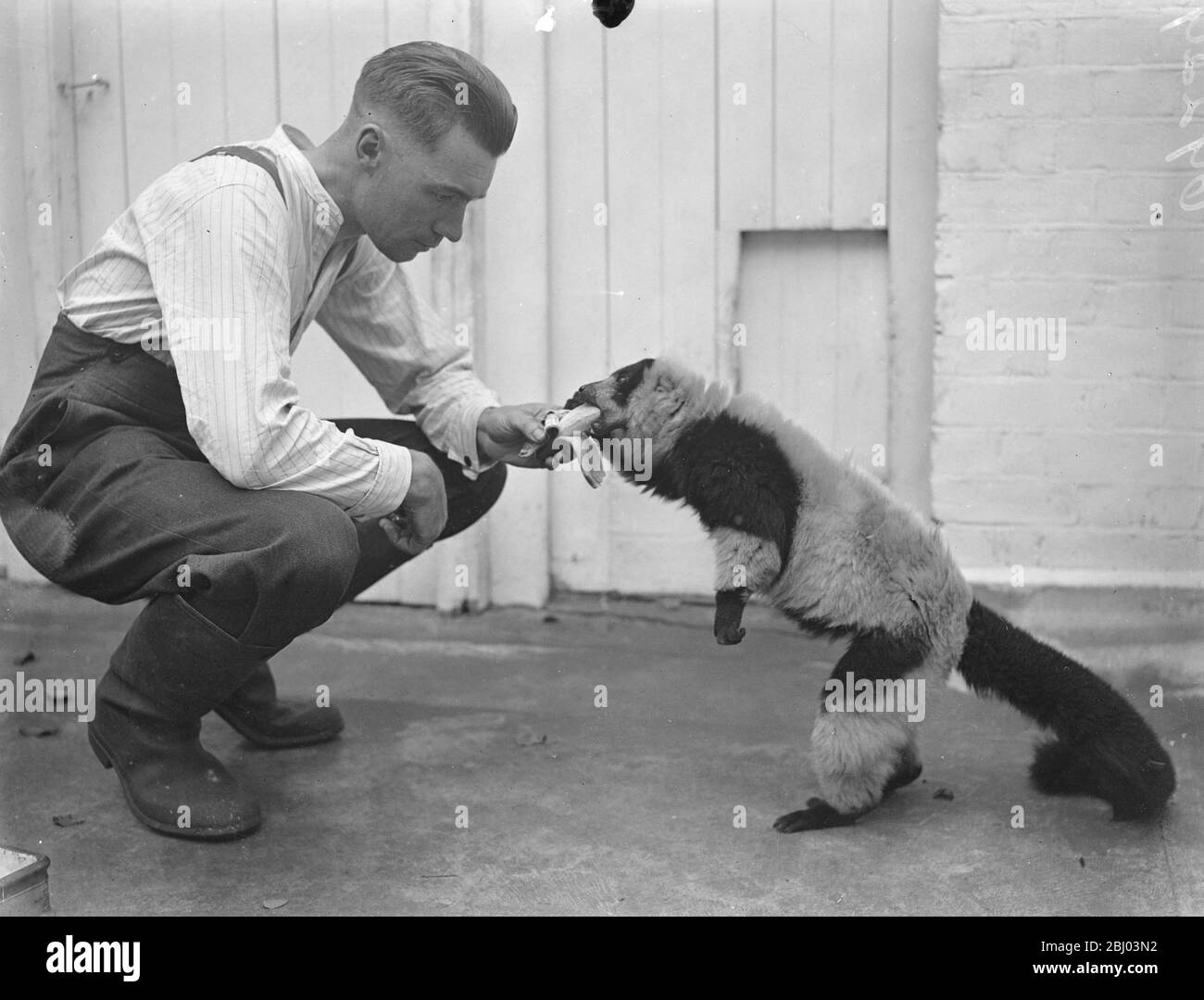 Food places Black and White Stock Photos & Images - Alamy