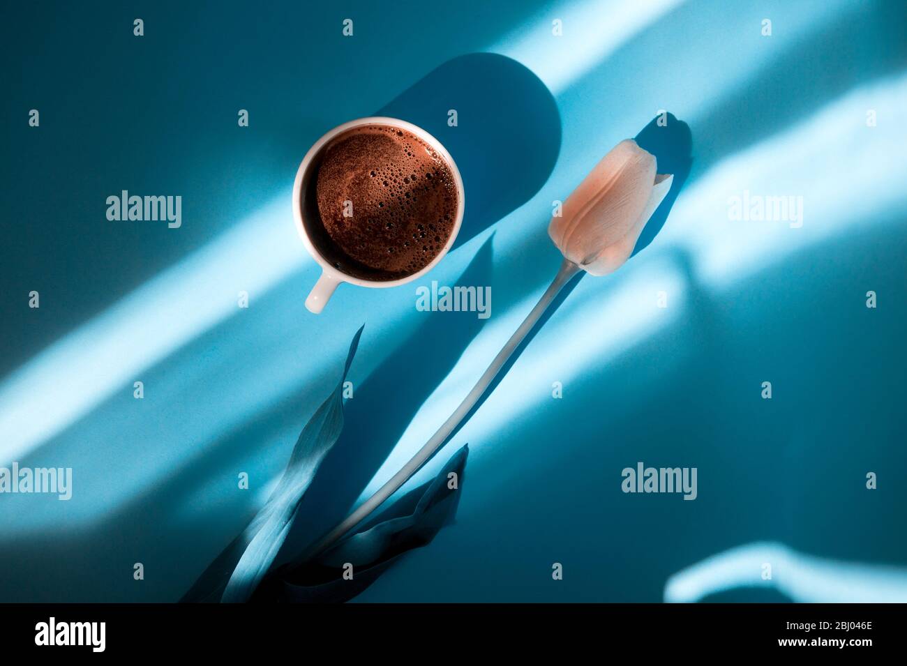 Coffee and spring flowers on blue background. Good mood concept. Blue ...