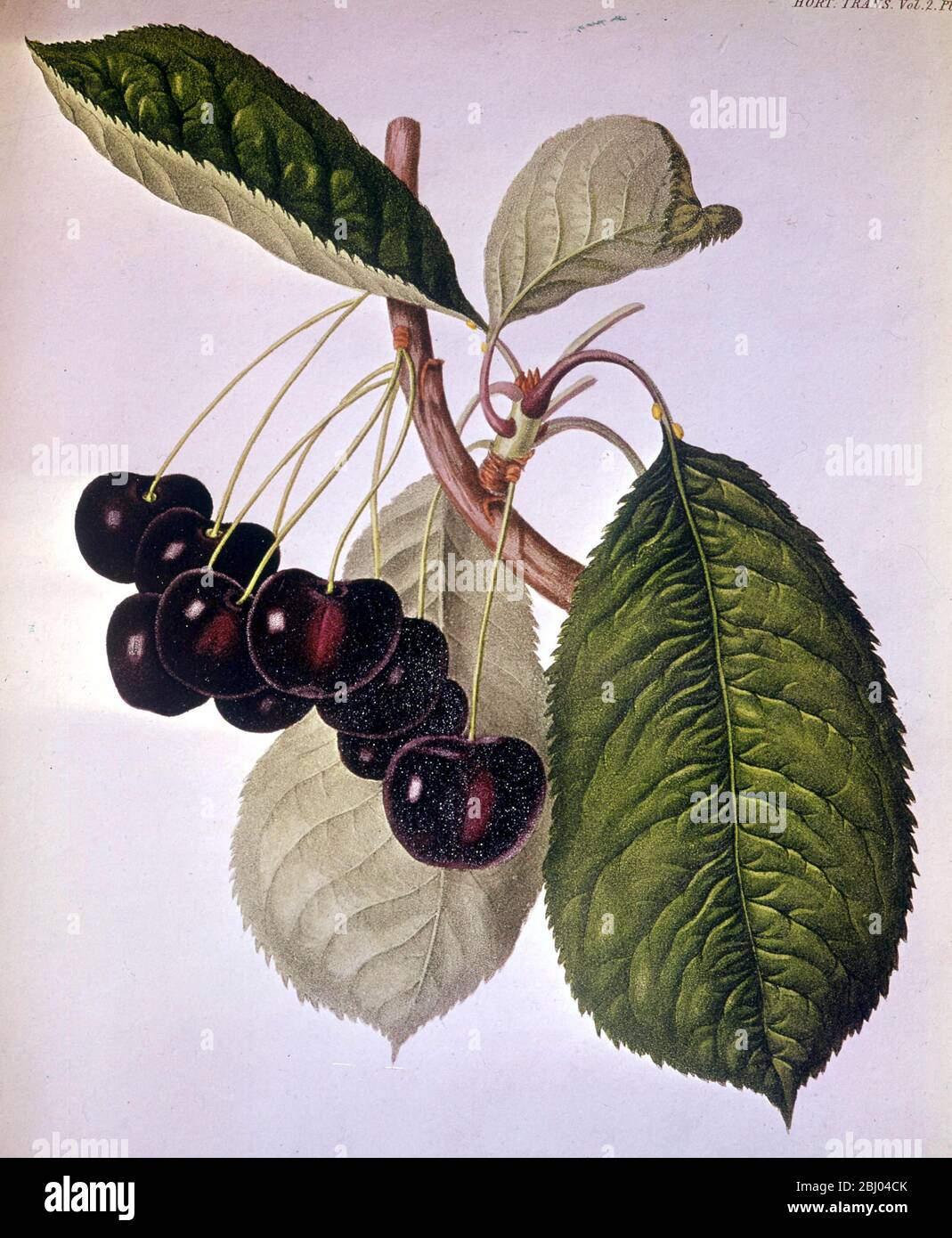 174 1231 hi-res stock photography and images - Alamy